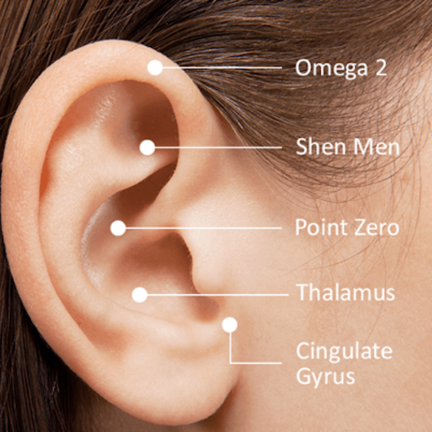 Discover the Amazing Auricular Acupuncture Now